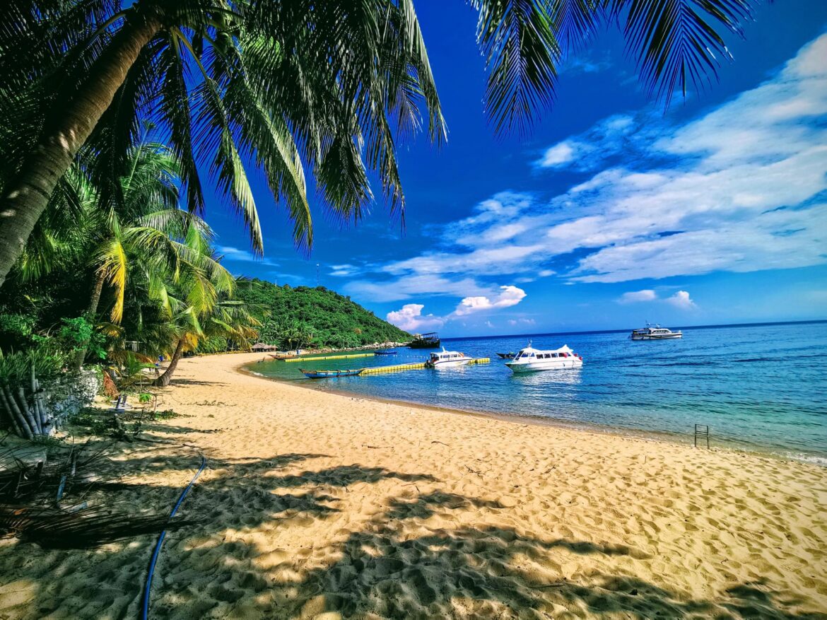 Guide to Visiting Cham Islands with Children: Snorkeling & Diving