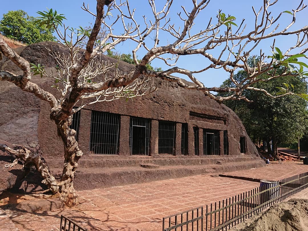 There’s more to Goa than Just Partying – Explore these Five Offbeat ...